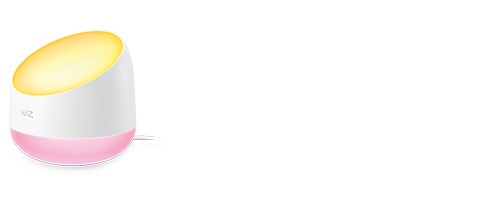 Accessory Smart Dial Switch | WiZ GB